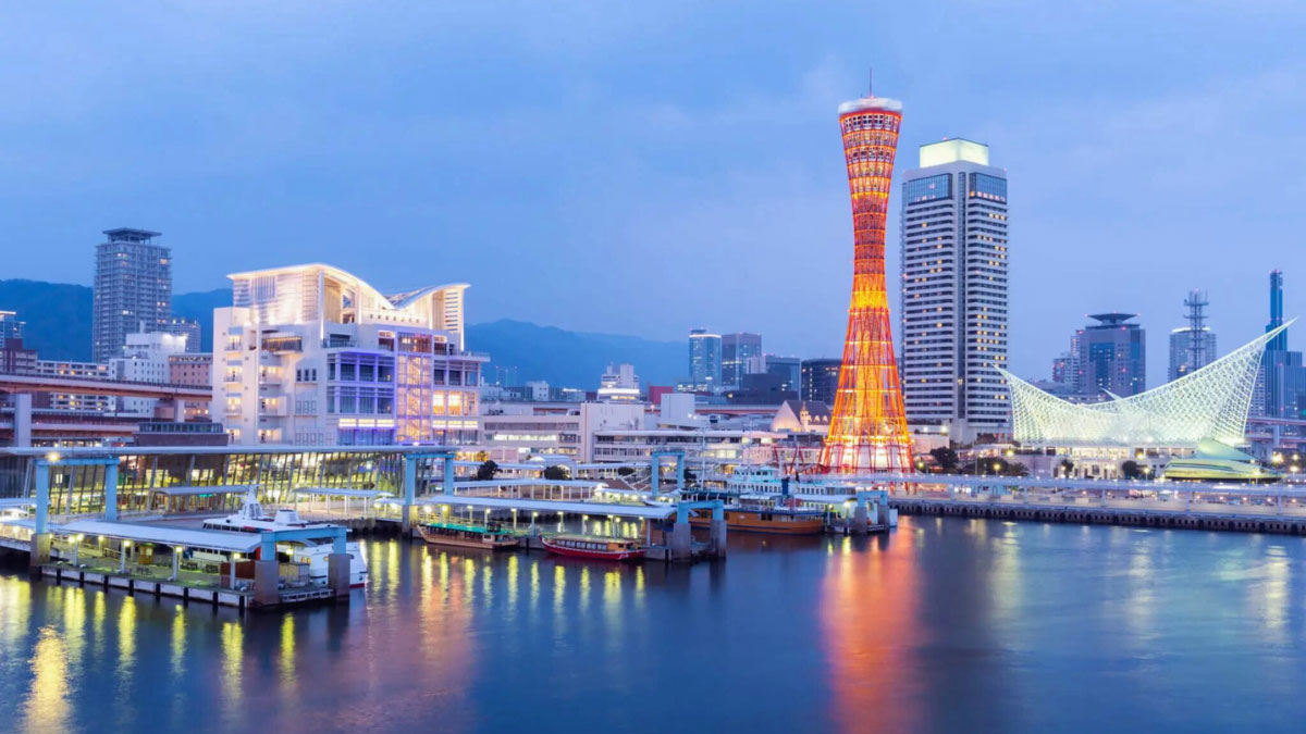 8 Days Itinerary in Japan: Ultimate Travel Guide & Tips