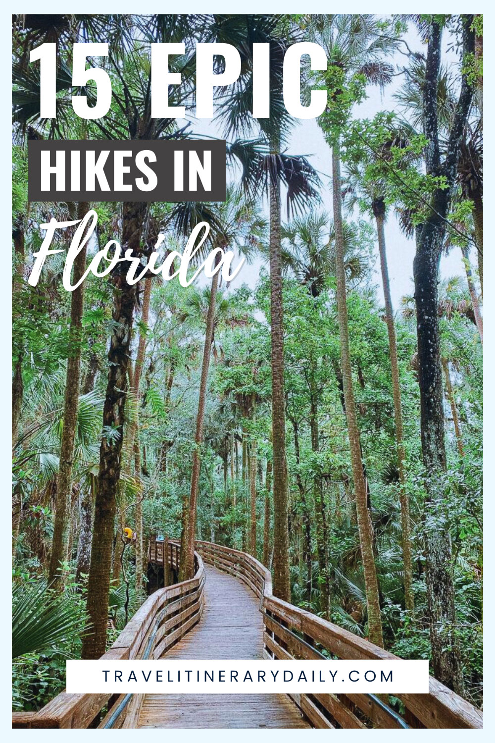 15 Epic Hikes in Florida: Discover the State's Hidden Natural Gems