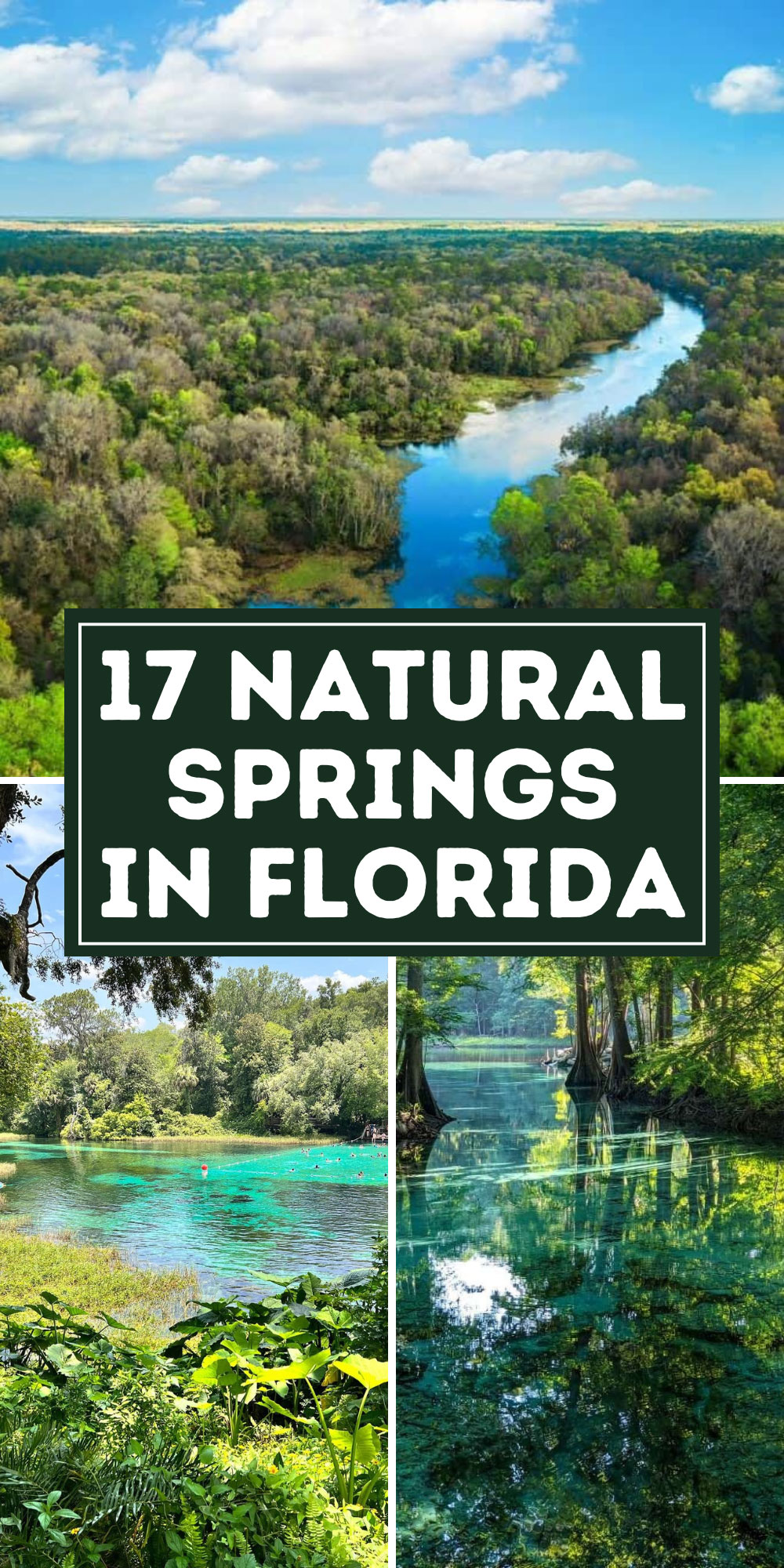 17 Natural Springs in Florida Must Visit for Ultimate Adventure