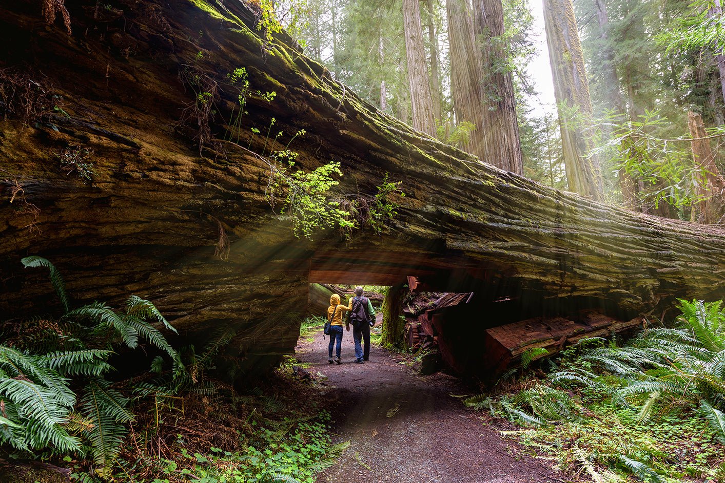 23 Must See Natural Wonders in California: Your Ultimate Guide
