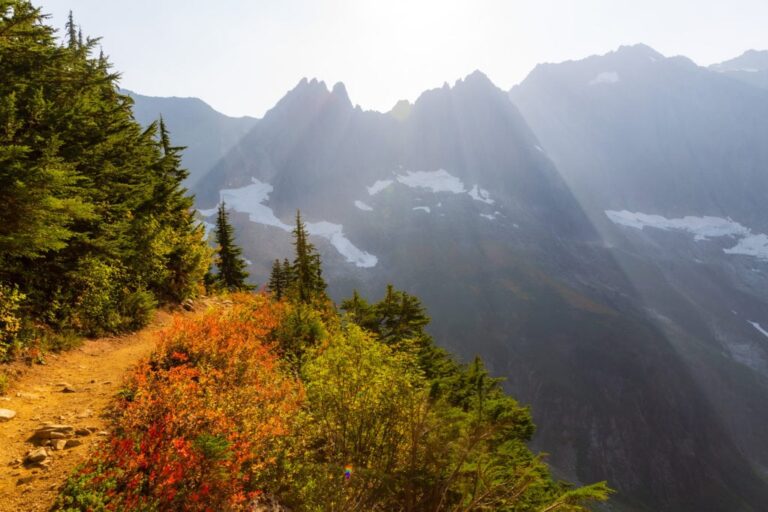 Pacific Northwest National Parks Road Trip: Your Ultimate Guide