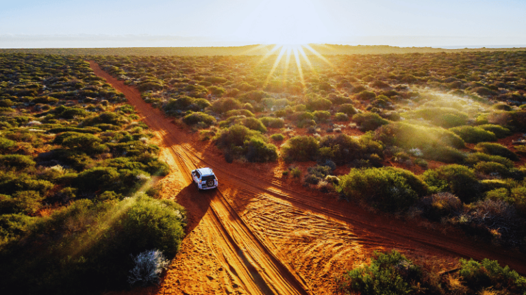 Ultimate Western National Park Road Trip All Info: Complete Guide