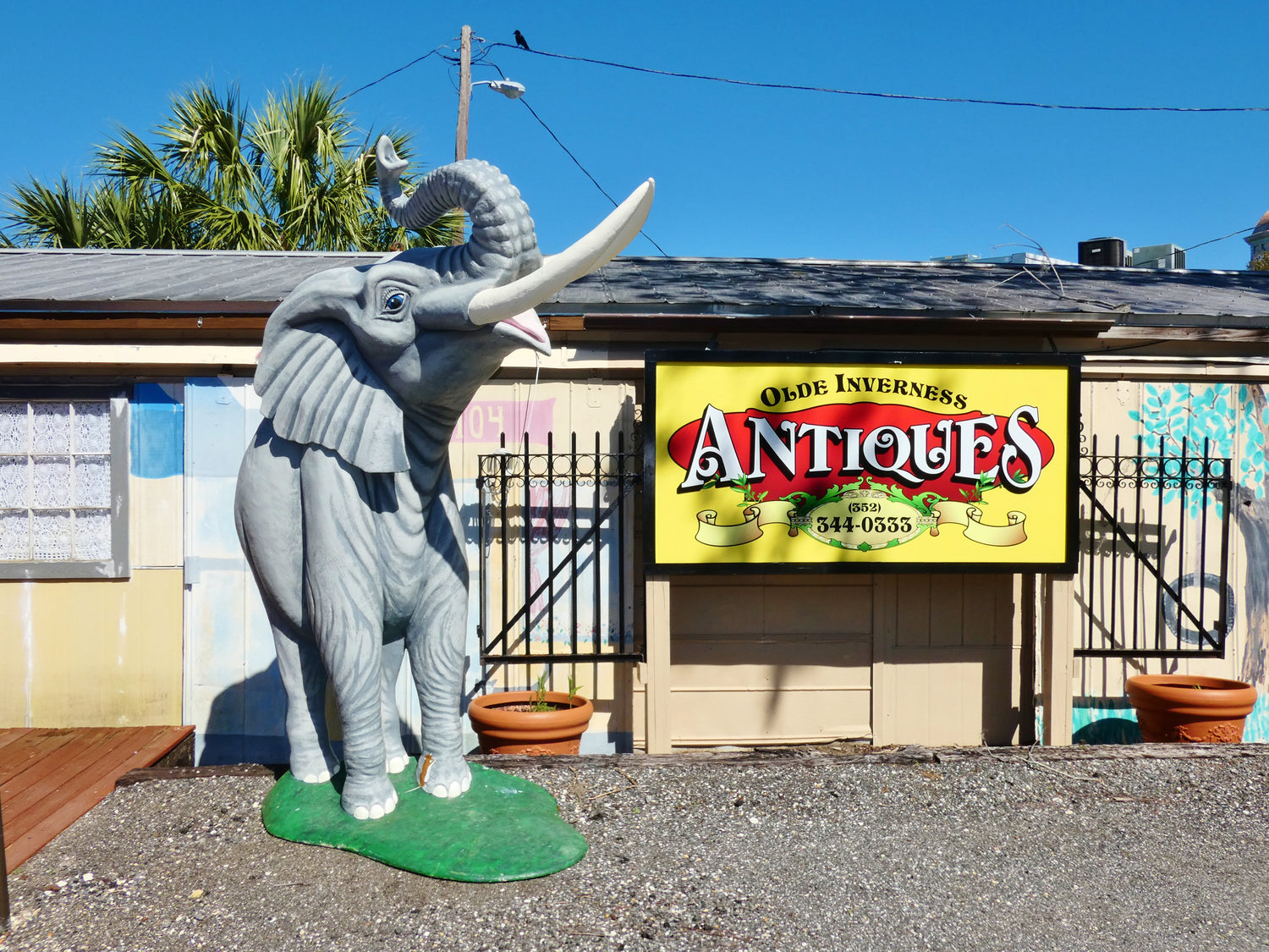 29 Things to Do in Inverness, Florida: A Complete Guide to Nature ...